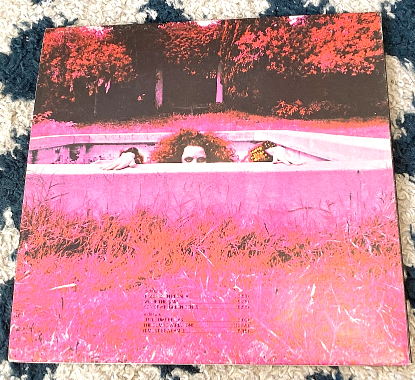Frank Zappa: Hot Rats LP Bizarre/US RS6356 VG+ gatefold COVER ONLY | eBay