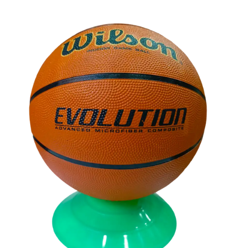 Wilson Evolution Brand New Basketball Indoor Game Ball, Size 7 | eBay