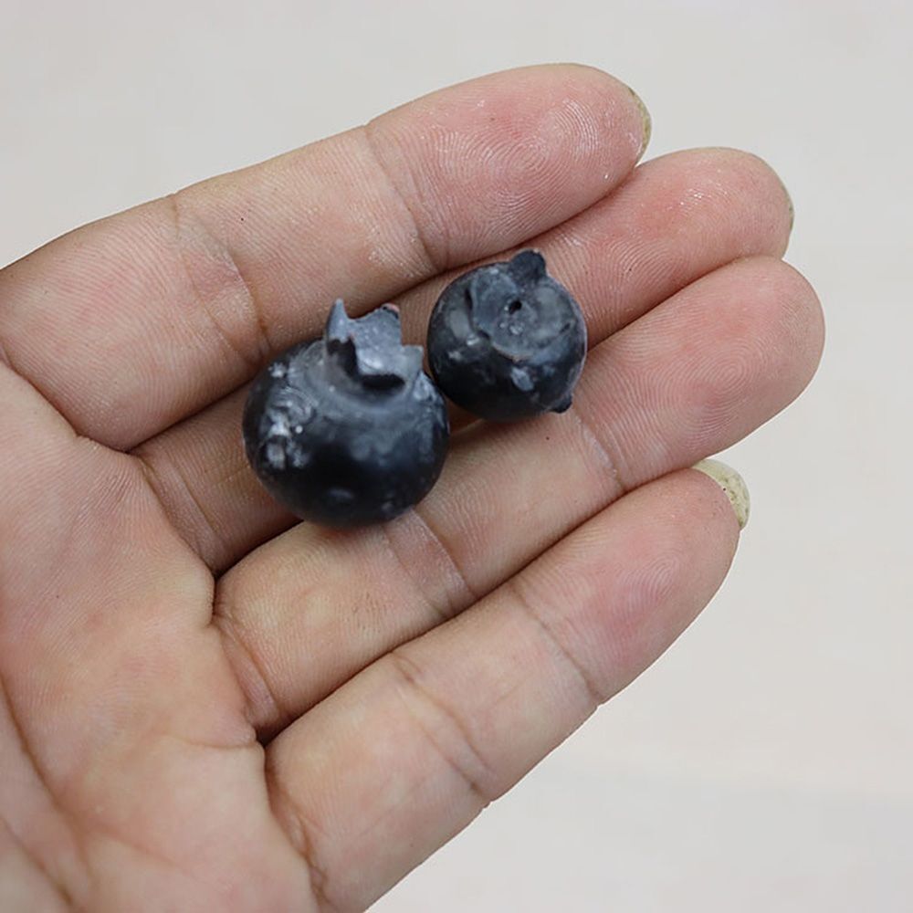 Photo Props Fake Fruit Artificial Blueberry Simulation Fruit Home ...