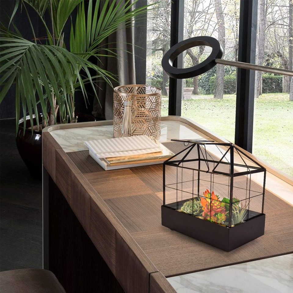 Large Tall Plant Terrarium Glass Greenhouse with Lid and Tray, Indoor ...