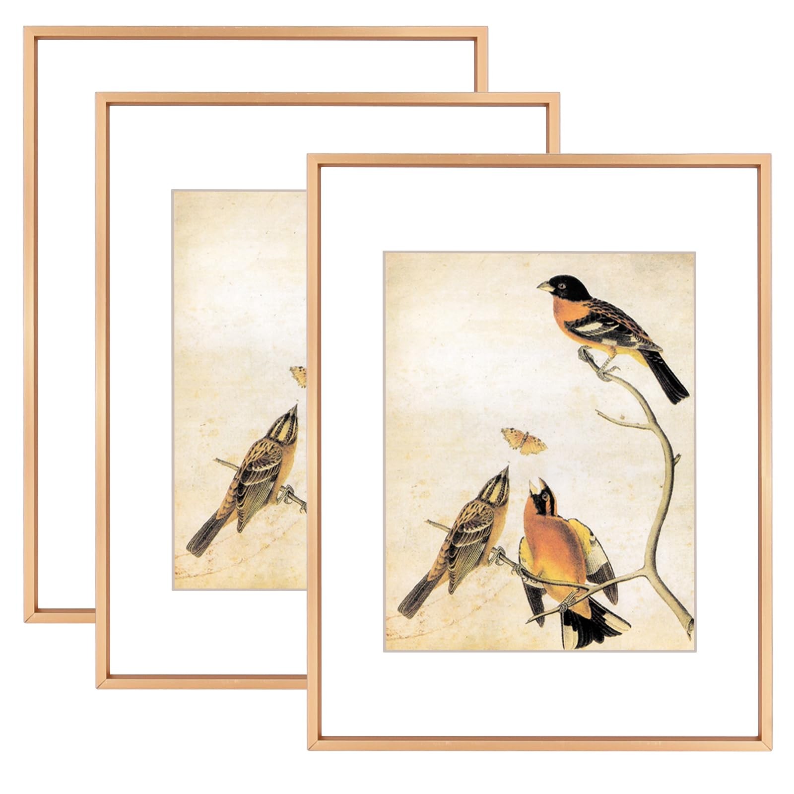 11x14 Picture Frame Set of 3, Gold Metal Photo Frames with HD Glass ...