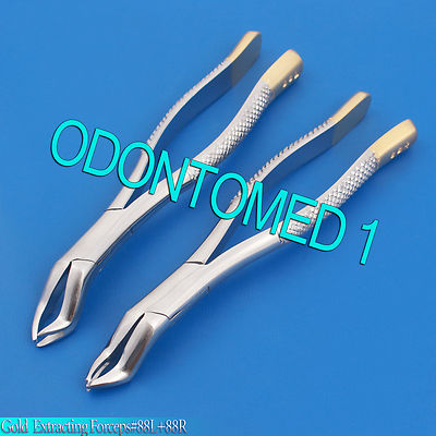 Extracting Forceps #88R #88L Molars Gold Handles Oral Surgery Dental ...