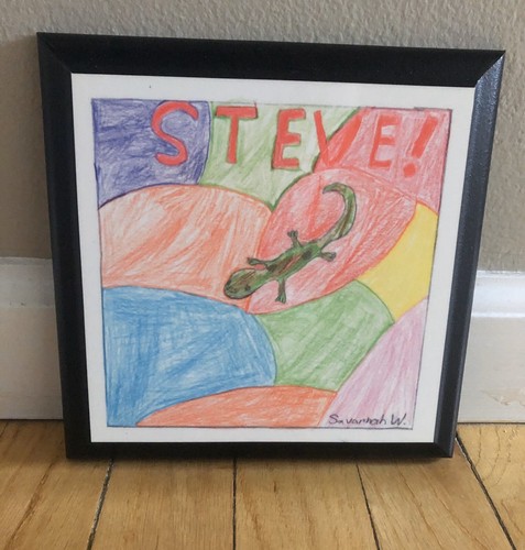 Steve the Lizard picture | eBay