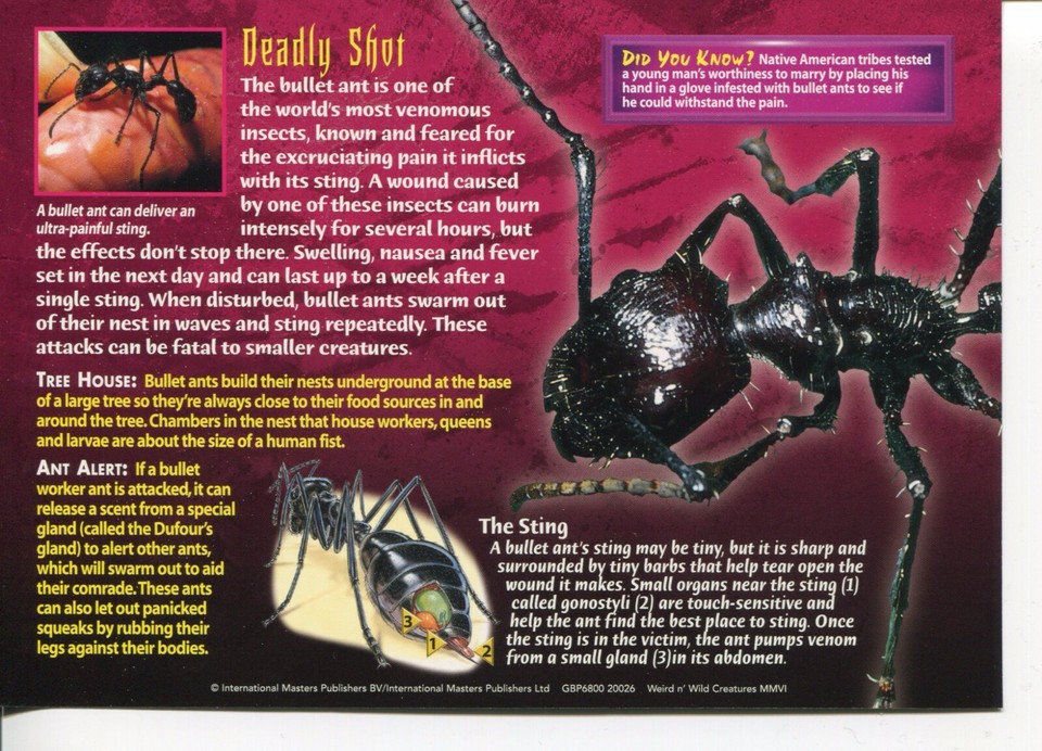 Weird N’ Wild Creatures Toxic Terrors Card 29 # Bullet Ant # LC3 | eBay