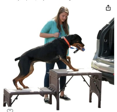 Free Standing Pet Ramp for Cats and Dogs, No Assembly Required, Easy ...