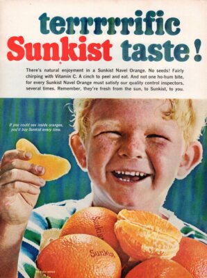 Vintage advertising print Fruit Sunkist Oranges adorable boy Terrrrific ...