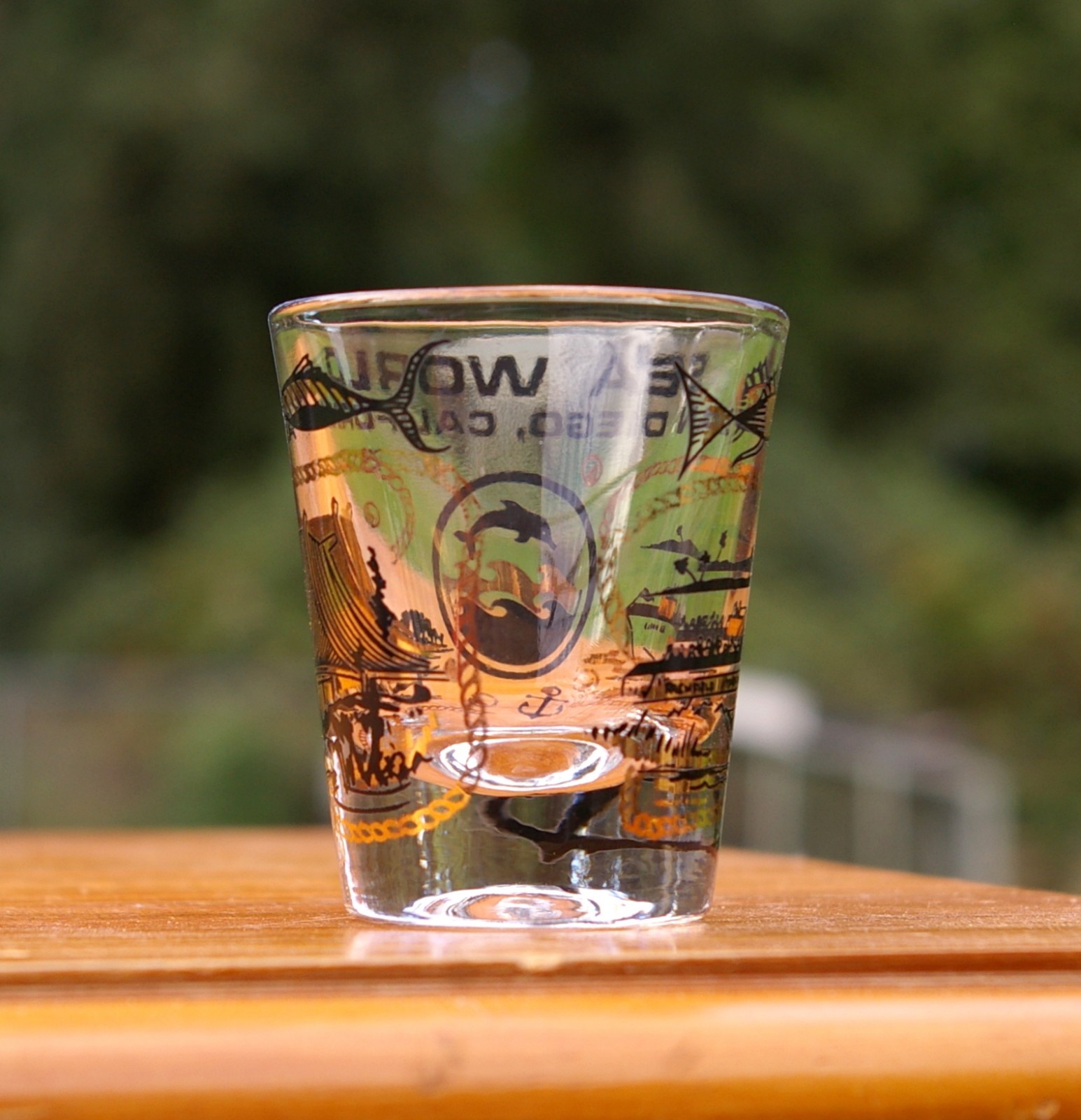 Sea World San Diego California Hydrofoil Shot Glass | eBay