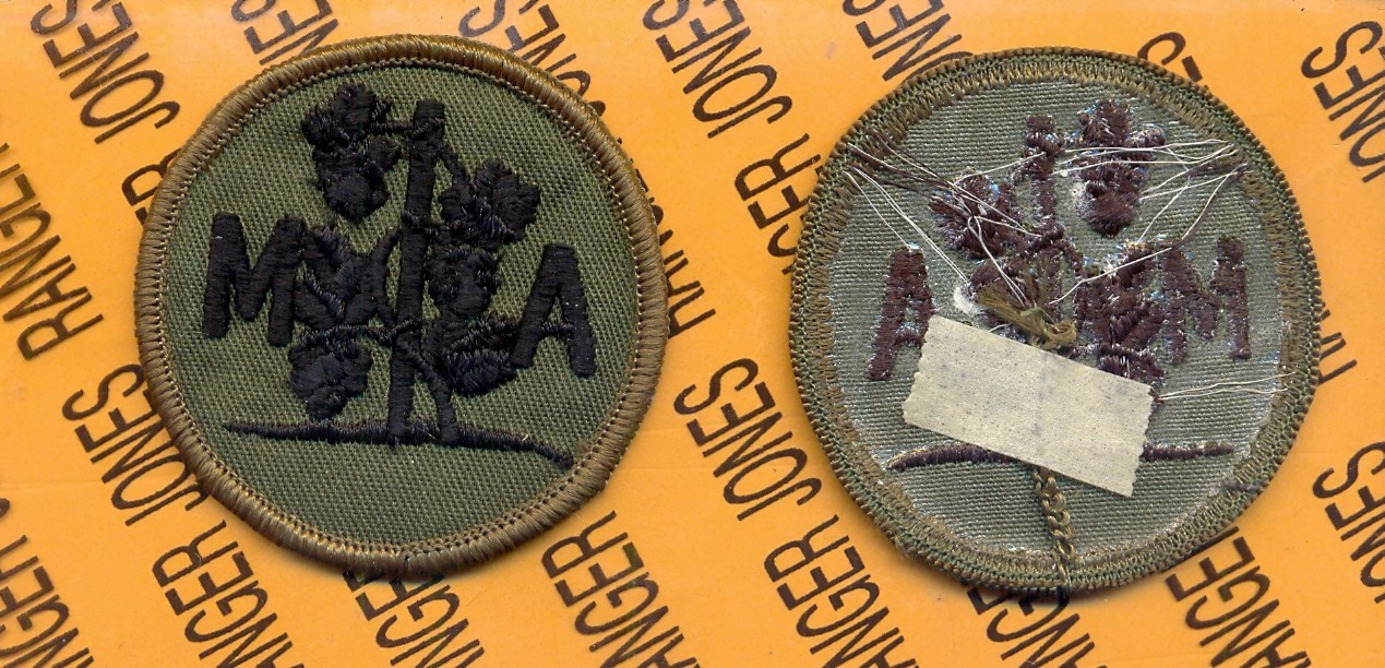 Connecticut Army National Guard ARNG Military Academy OD Green Black ...