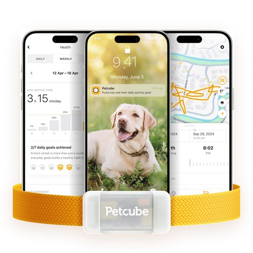 GPS Tracker for Dogs | Pet GPS Location Tracker with Escape Alerts and ...