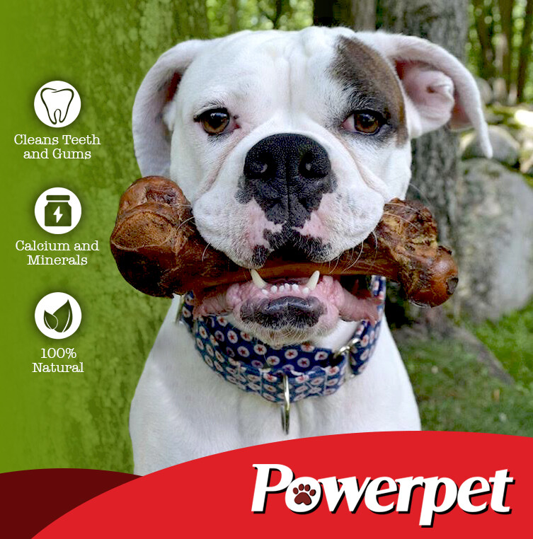 Powerpet- All Natural Ham Bone Dog Chew Treat-USDA & FDA Approved, BRC ...