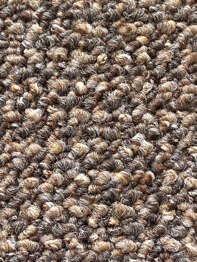 Carpet Berber Loop Pile Cheap Carpet Felt Backing Hard Wearing Lounge ...