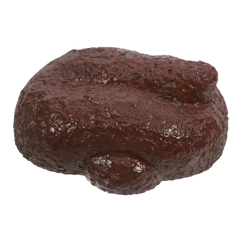 Hidden Key Holder For Outside Poop Shaped Key Hider Outdoor Key Boxes ...