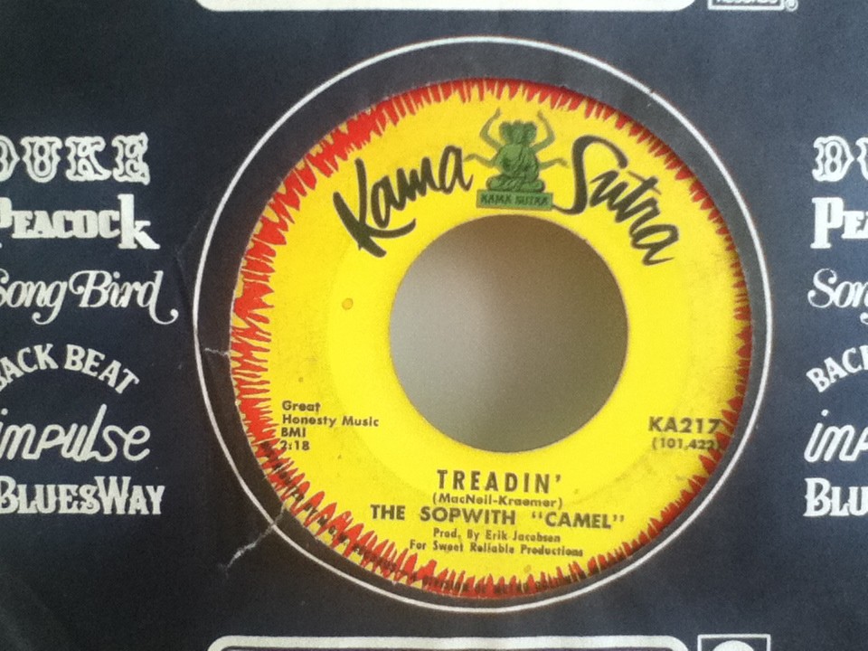 THE SOPWITH CAMEL 7" SINGLE , HELLO HELLO / TREADIN | eBay