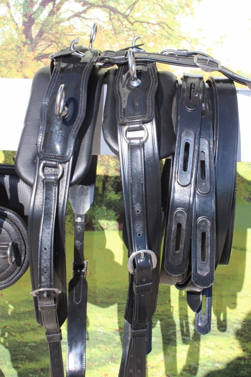 TEAM SET USA Made Sport Harness with Euro Brollar Collar ALL SIZES for ...