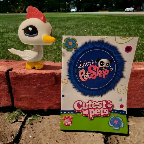 Hasbro Littlest Pet Shop #2435 Woodpecker Bird White Red w/ Original ...