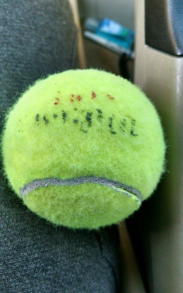 100 and 10 used tennis balls 110 total .Plz c pics ! no p.o box😁 | eBay