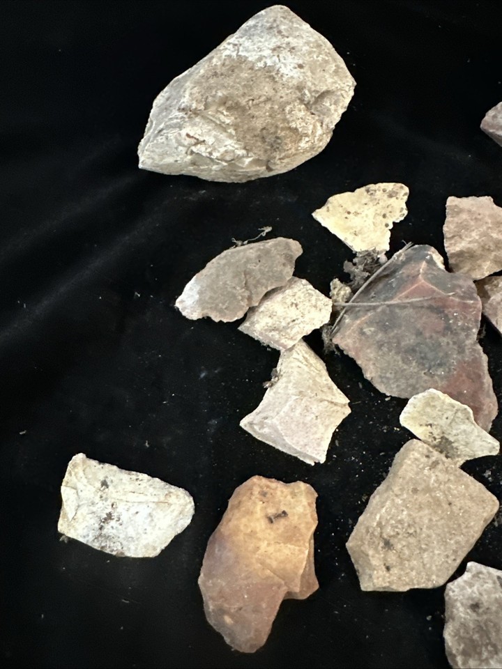 Native American Artifacts Chiseled Chert & Broken Artifacts Lake ...