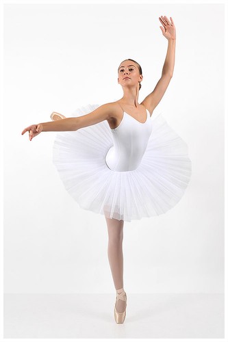Professional Platter Tutu Ballet Hoop Wire Blue Pink Purple Mint White ...