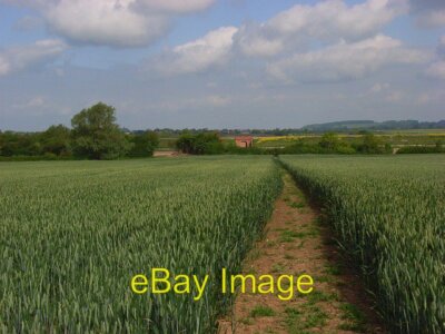 Photo 6x4 Footpath through wheat Woolstone Longcot Descending to the ...