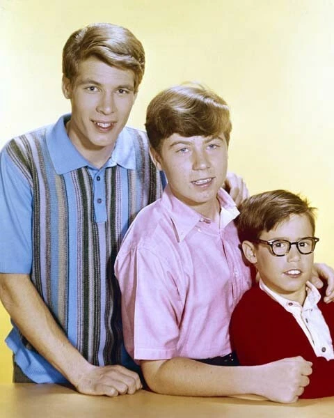 Stanley Livingston My Three Sons