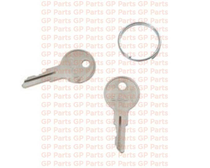 JLG 2860030, KEY - SPARE (Set of 2), 3369LE | eBay