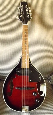 electro acoustic mandolin | eBay UK