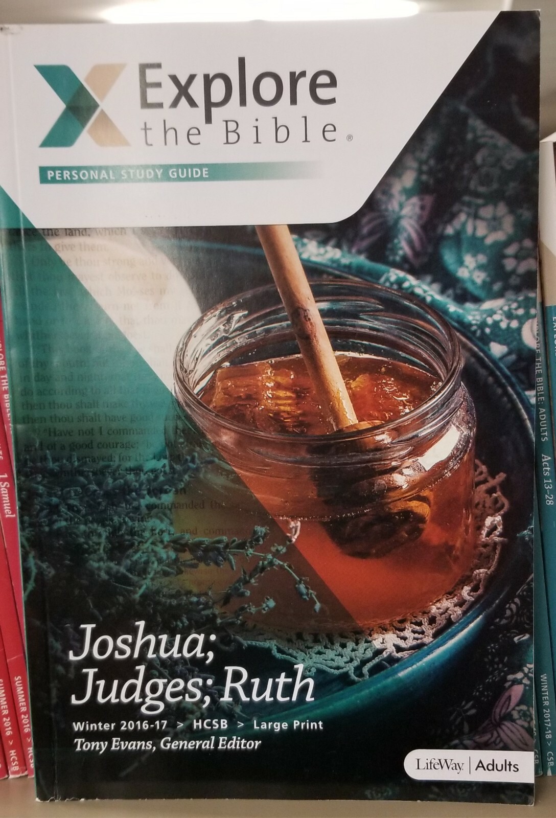 Explore the Bible Personal Study Guide Lifeway Large Print O/N T'ments ...