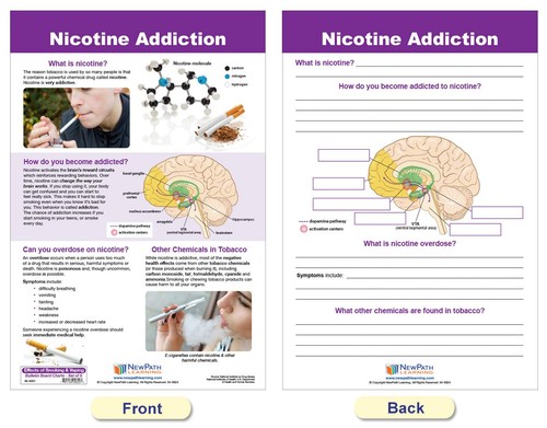NewPath Learning Effects of Smoking & Vaping Bulletin Board Charts, Set ...