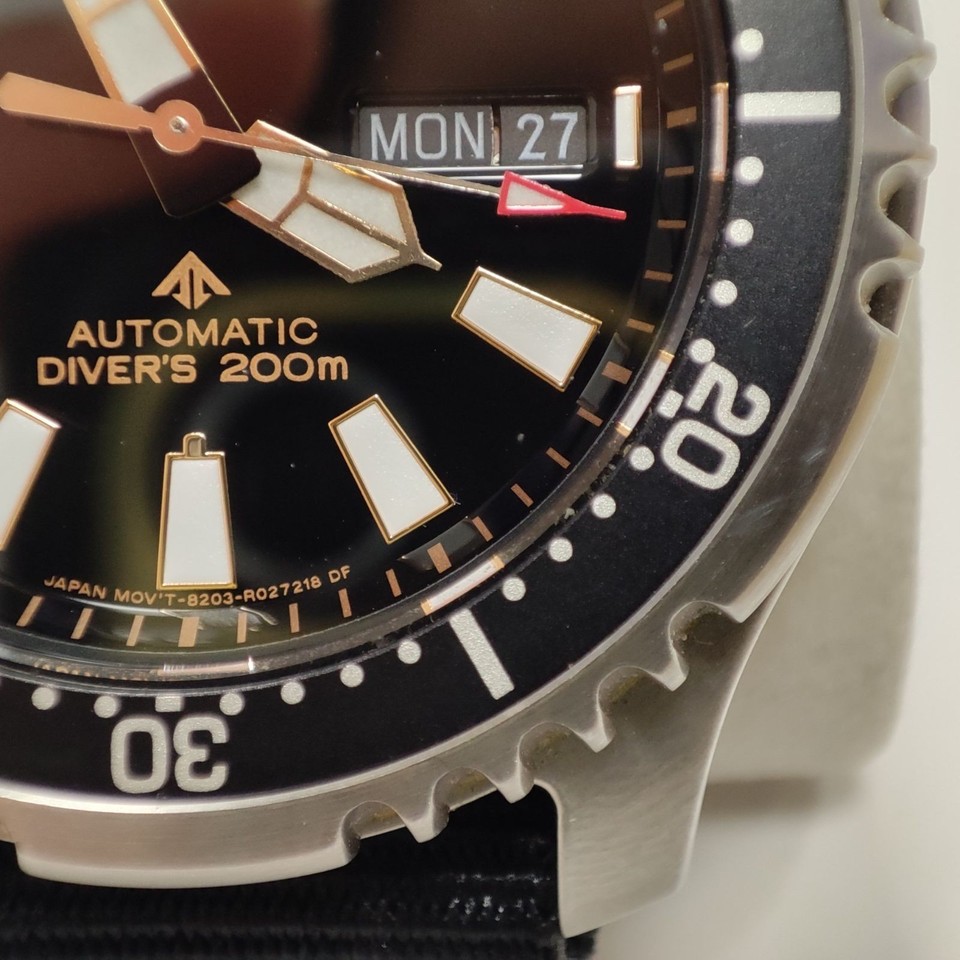 CITIZEN Promaster NY0090-86E Limited Diver Automatic 200m Black Bezel ...