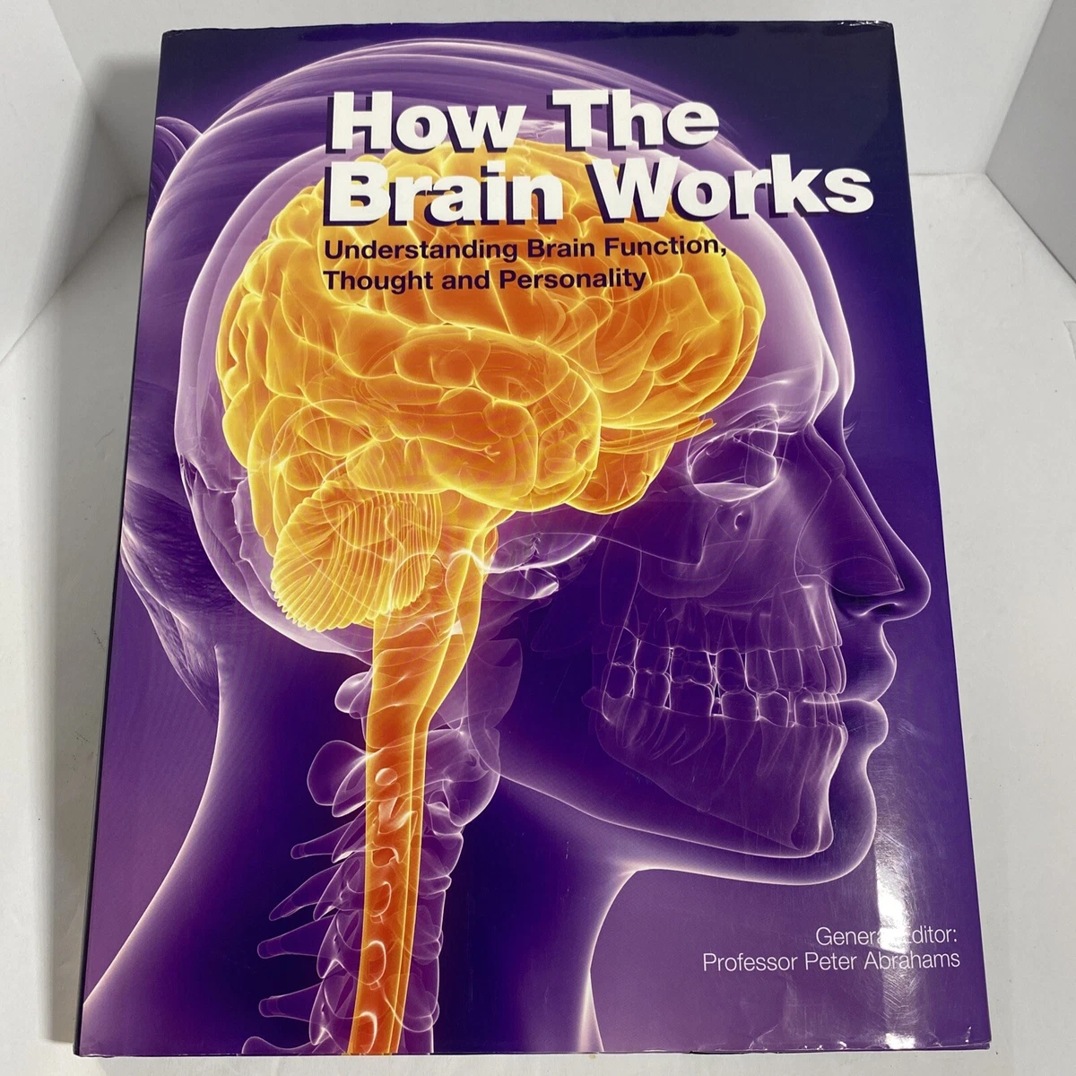 Understanding The Brain Function