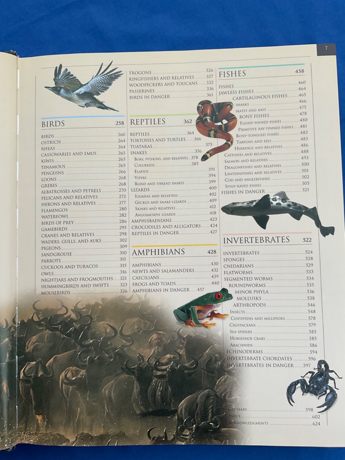 2001 DK ANIMAL THE DEFINITIVE VISUAL GUIDE TO THE WORLD'S WILDLIFE ...