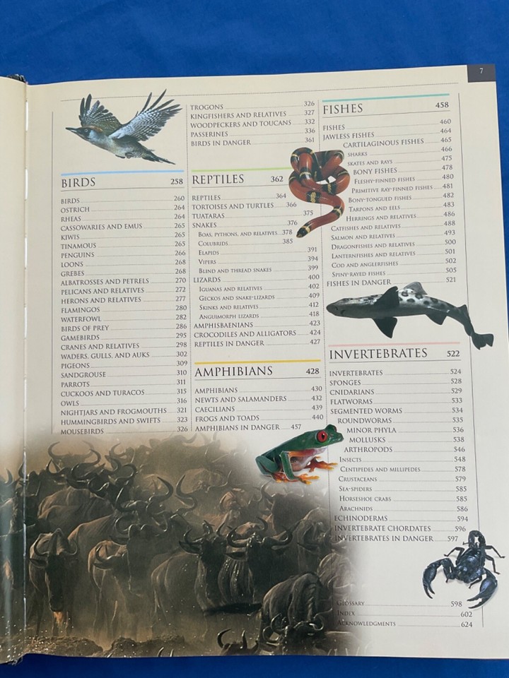 2001 DK ANIMAL THE DEFINITIVE VISUAL GUIDE TO THE WORLD'S WILDLIFE ...