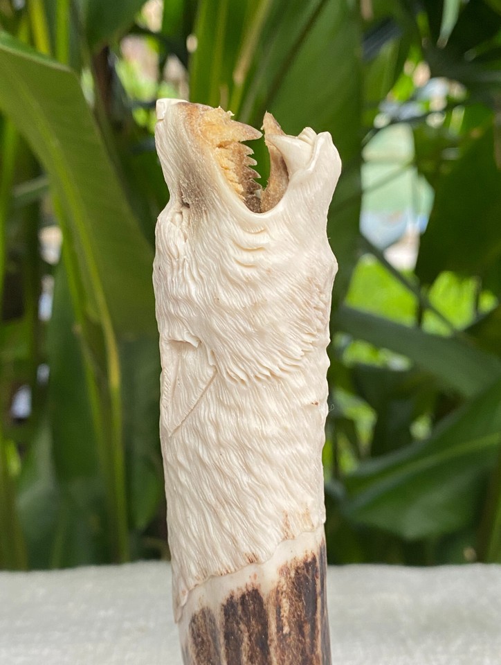 Wolf Handle Carved Knife Handle, Moose Carving Indonesian Wolf Antler ...