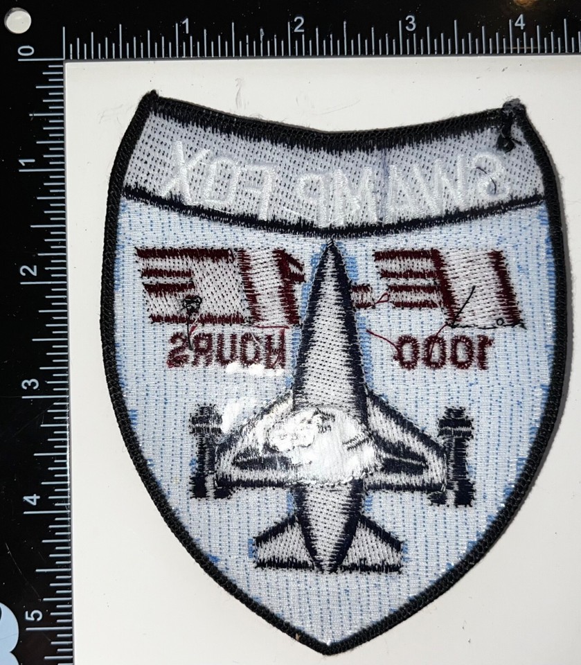 USAF 157th Fighter Squadron Swamp Fox F-16 SC ANG 1000 Hours Patch | eBay
