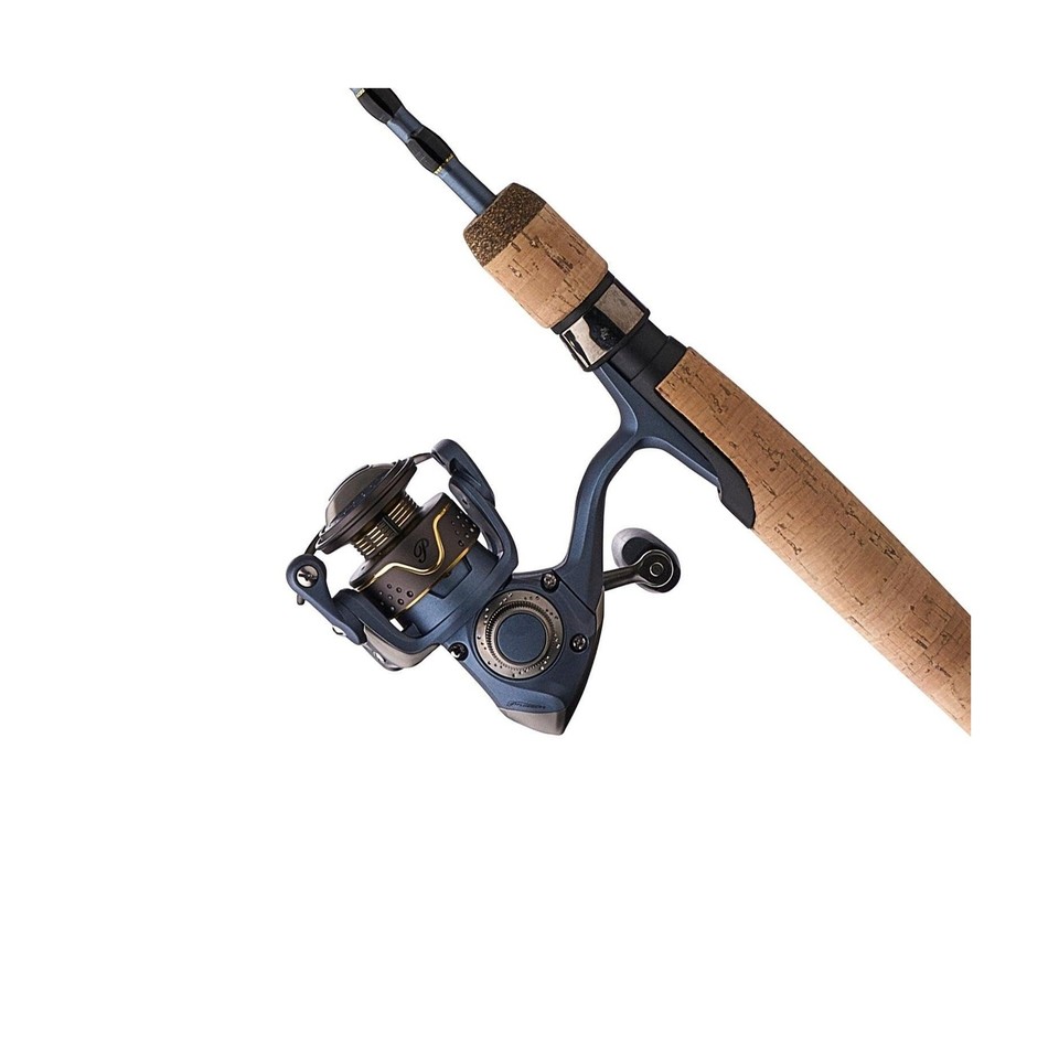 Pflueger President Spinning Reel and Fishing Rod Combo New Model | eBay