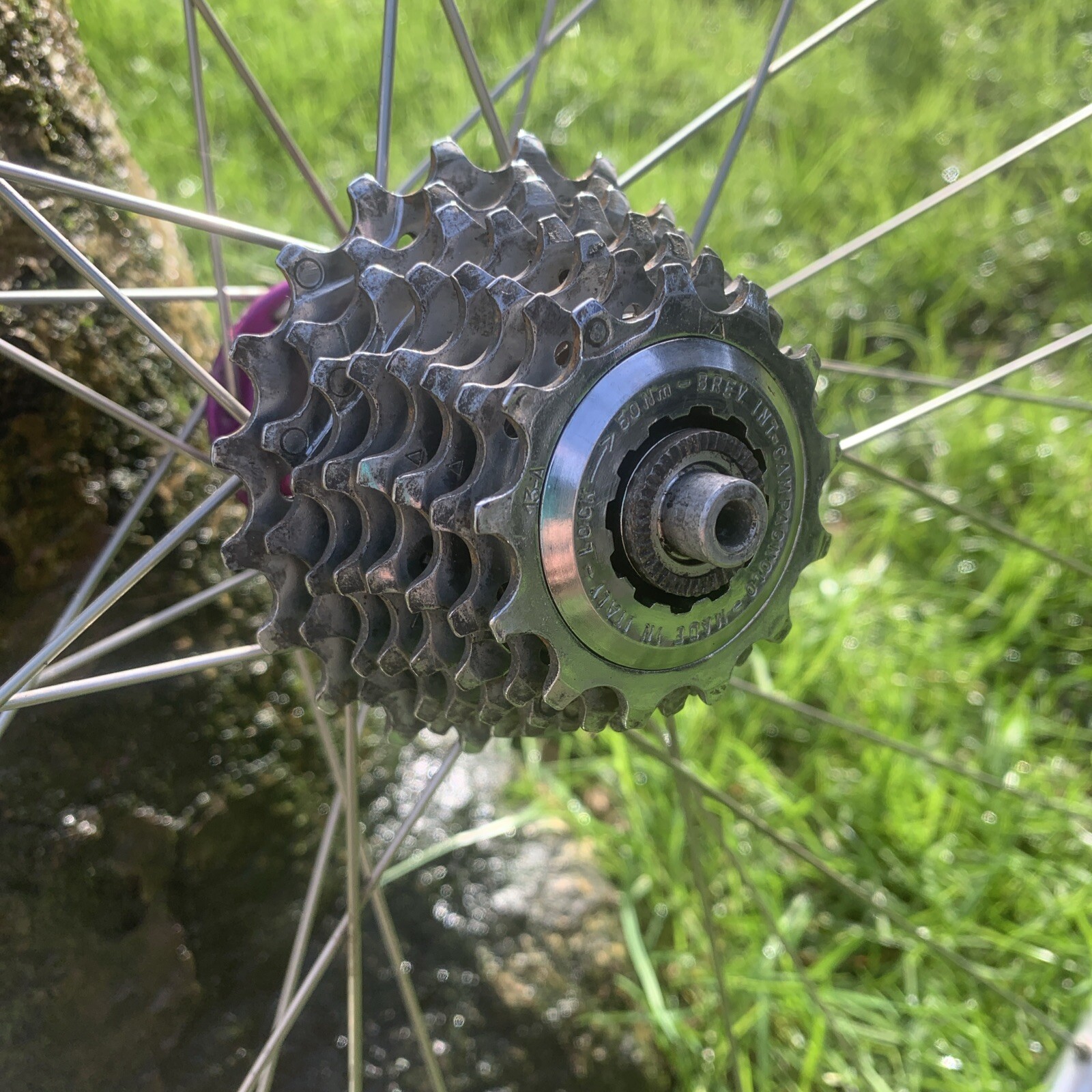 Hope Ti Glide Purple hubs Campagnolo 13-21 Cassette rim Halo Retro ...