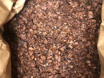 Organic cacao husk cocoa bean shell infusion chocolate tea immune boost ...