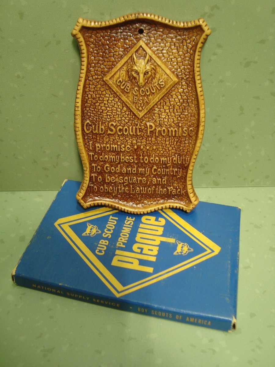 Cub Scout Promise Coloring Pages