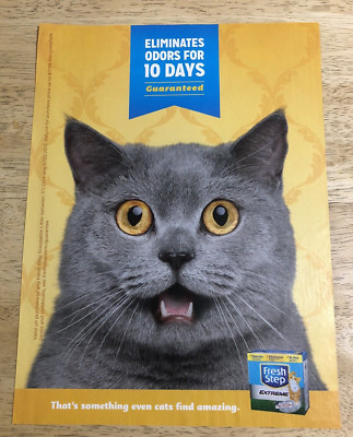 FRESH STEP - Funny Cat - Magazine Full Page Print Ad Clipping | eBay