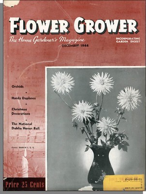 Flower Grower - 1944, December - Orchids, Hardy Daphnes, Christmas ...