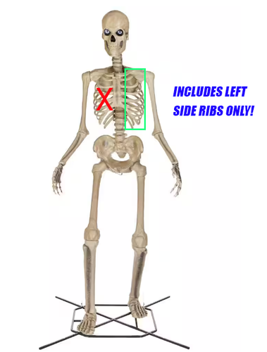 Home Depot 12ft Skeleton Replacement LEFT SIDE Rib Cage Repair Part 12 ...