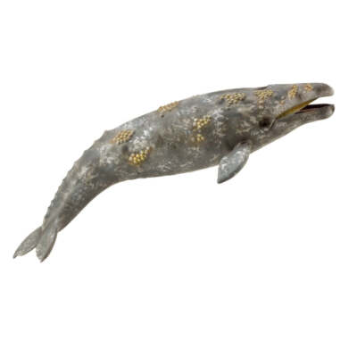 CollectA Realistic Animal Replica Gray Whale Figure Extra Large Ages 3 ...