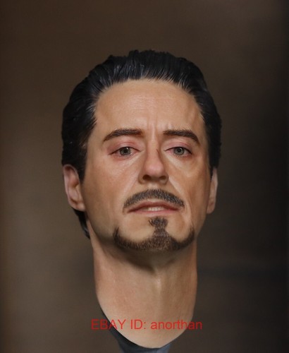 Custom Lecture Tony Stark 1/6 Scale Male Action Figure Head Sculpt ...