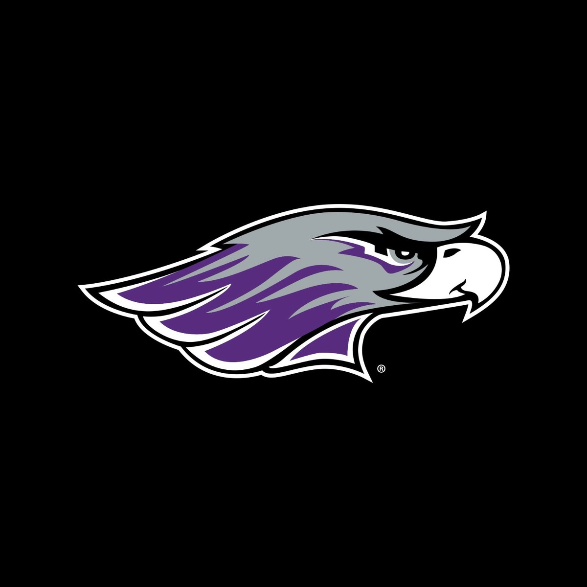 Whitewater Warhawk Logo Student Athlete Development And Welfare