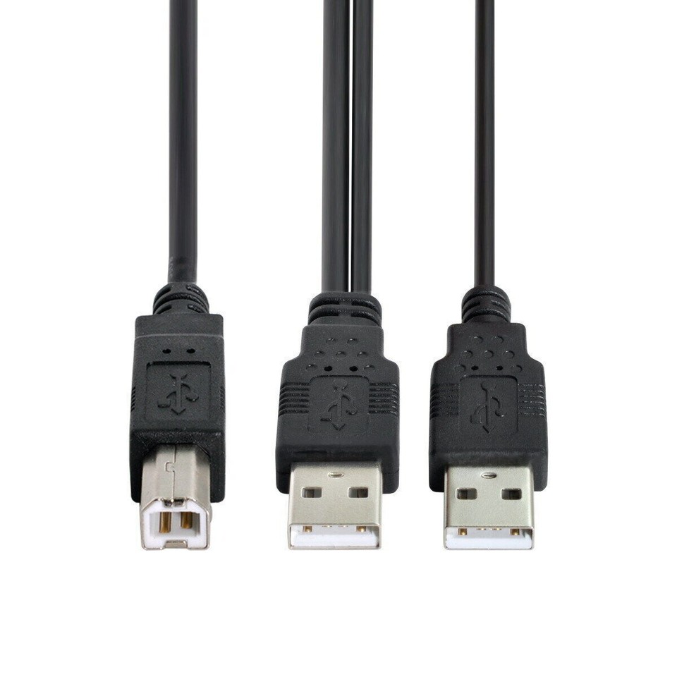 Dual USB 2.0 Male to Standard B Male Y Cable for Printer & Scanner Disk ...