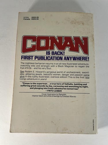 Conan and The Sorcerer by Andrew Offutt 1978 First Printing Illustrated ...