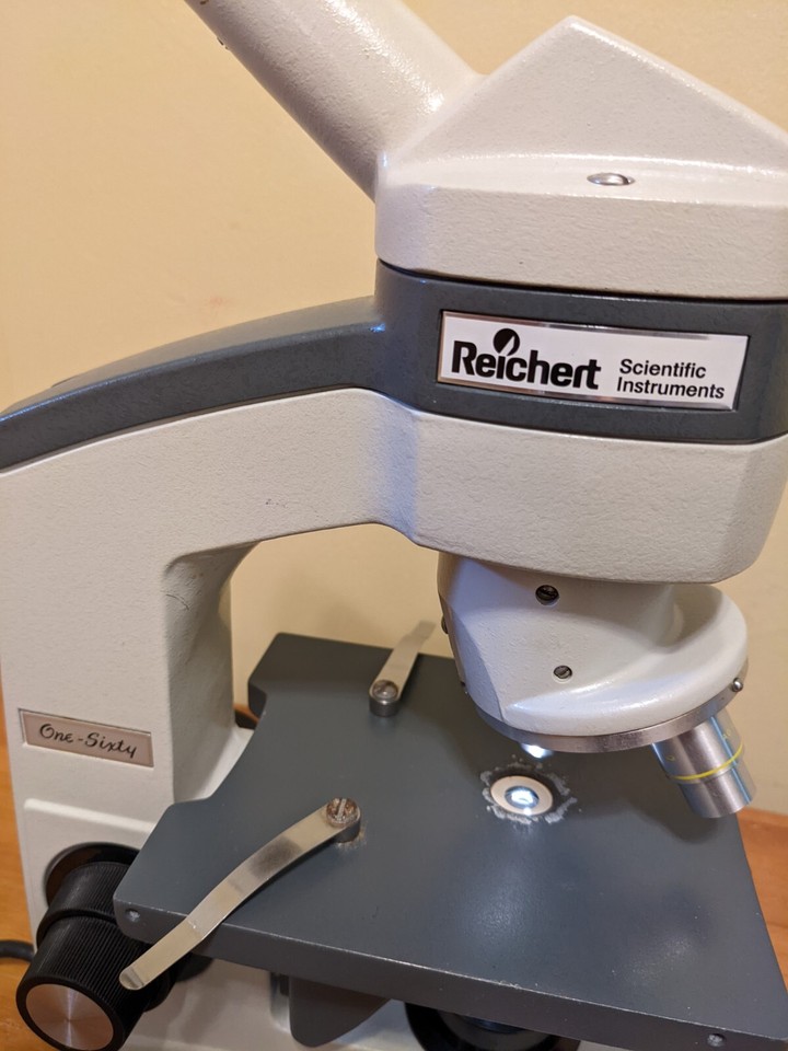 Vintage Microscope Reichert Series 160 | eBay