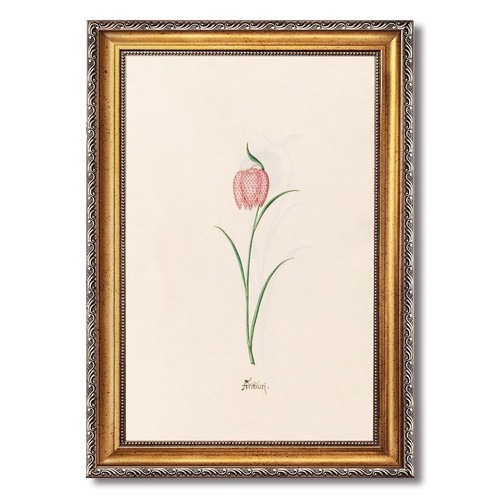 Fritillary Flower Botanical Art Canvas Oil Paintings Reproduction | eBay