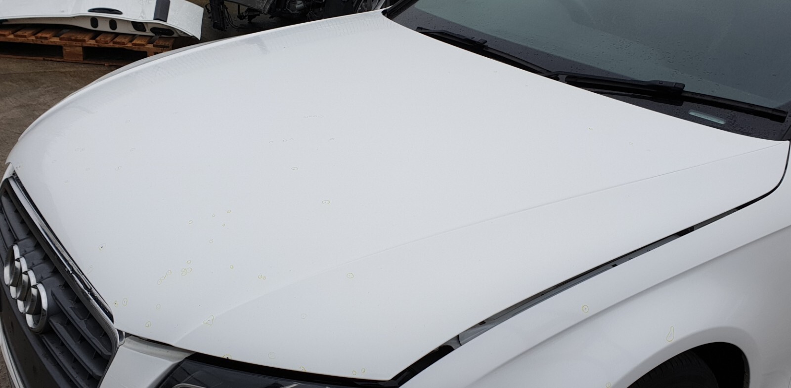 Audi A4 B8 8K 2008-2012 Complete Bonnet Hood Panel with Hinges Ibis ...