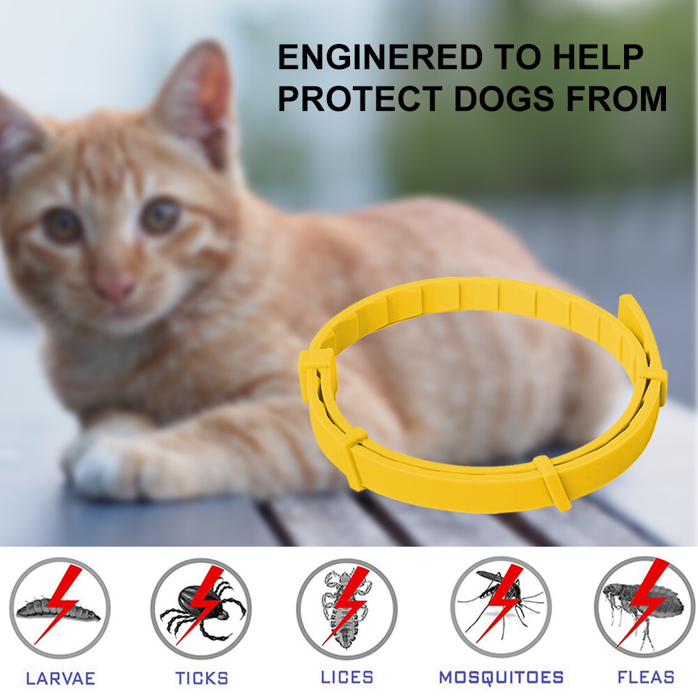 Flea Collar Anti-anxiety Waterproof Pet Dog Cat Insect Repellent Collar ...